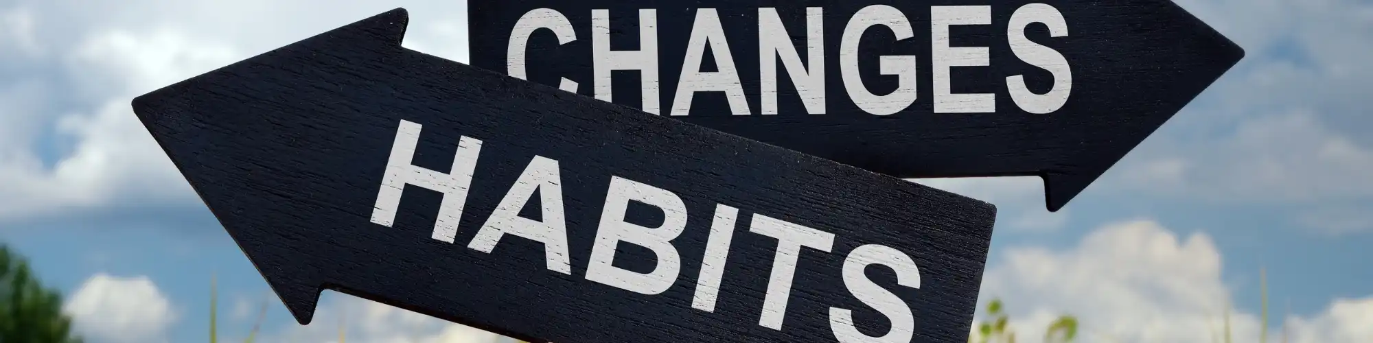 AA responsibility statement